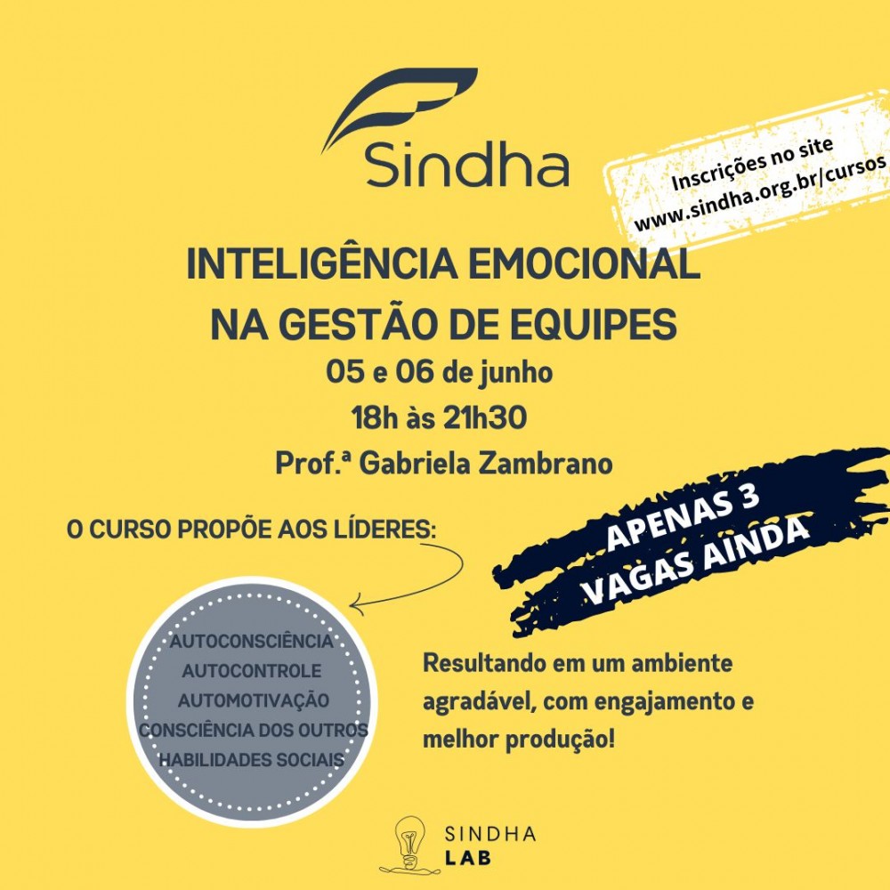 Inteligência Emocional na gestão equipes